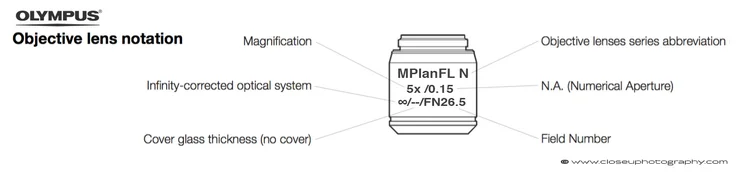 Olympus MPlan FL N 5x 0.15 Semi-Apochromat Objective — Close-up Photography