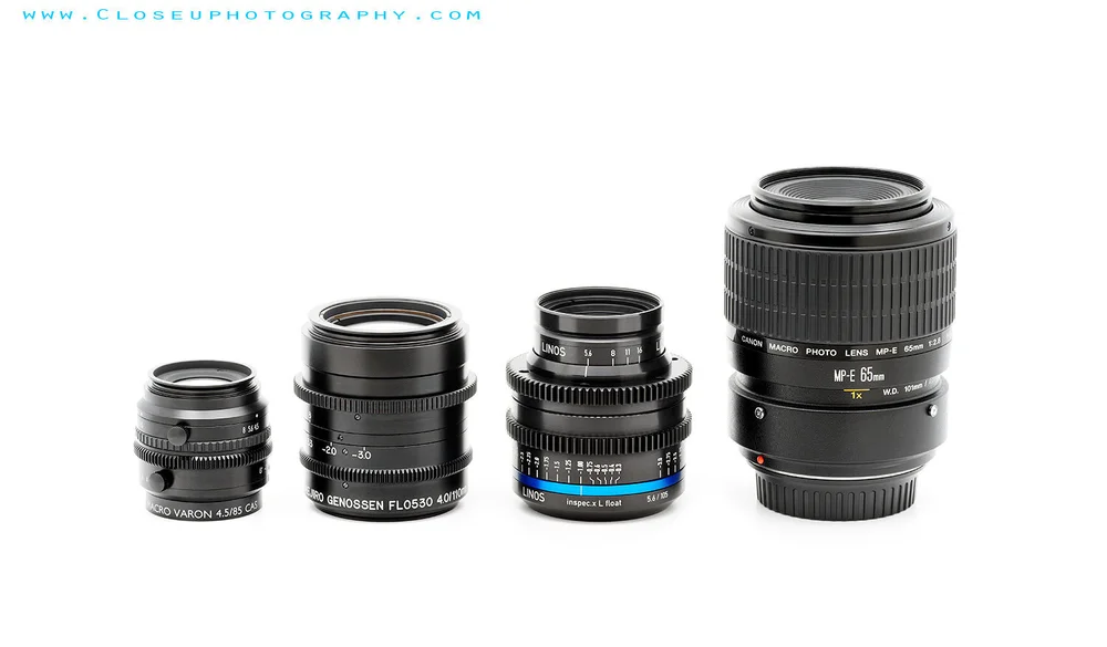 Mejiro Genossen FL0530 4.0/110 Float Lens Test — Close-up Photography