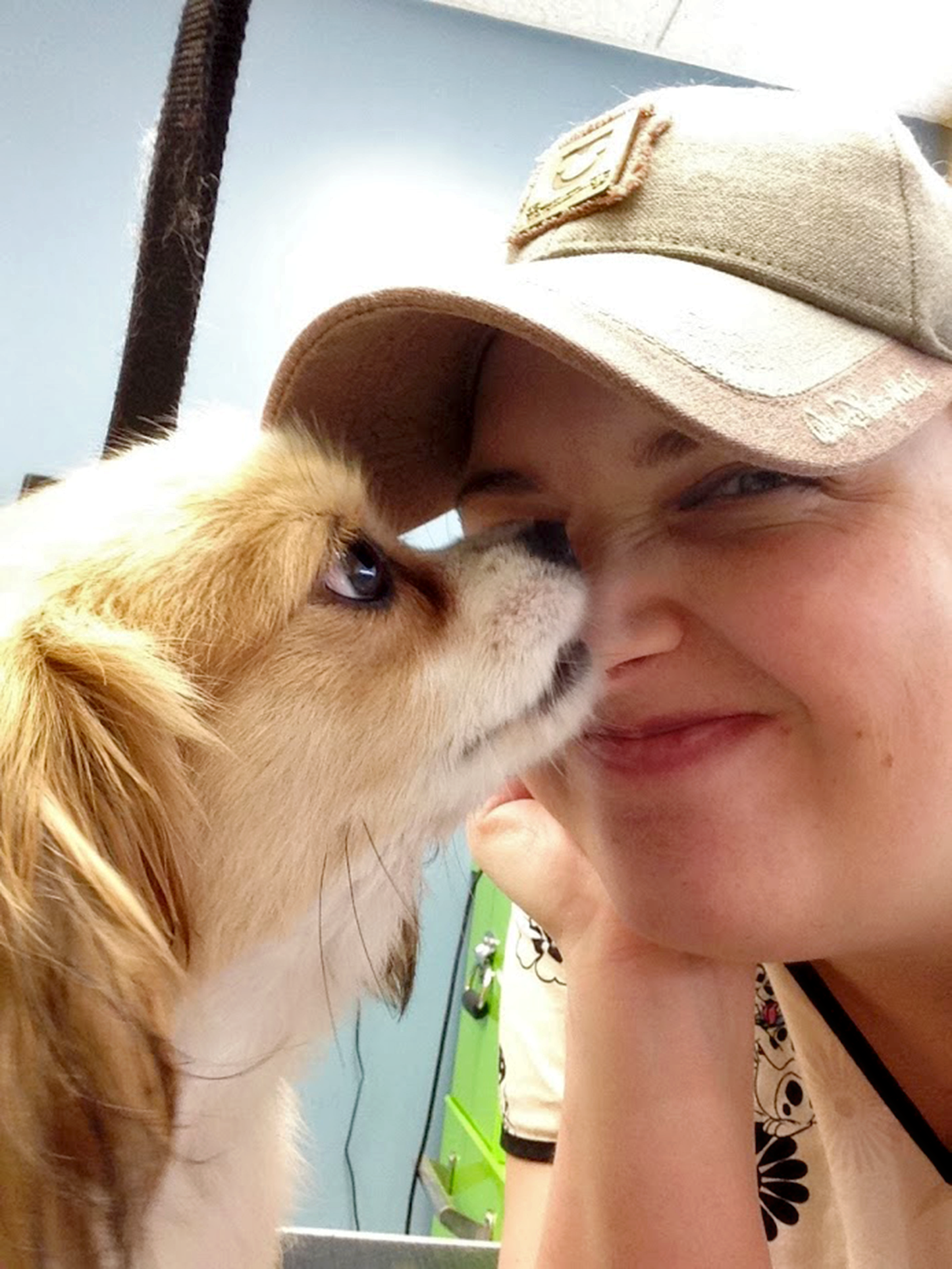 About — Fairy Tails Mobile Grooming LLC