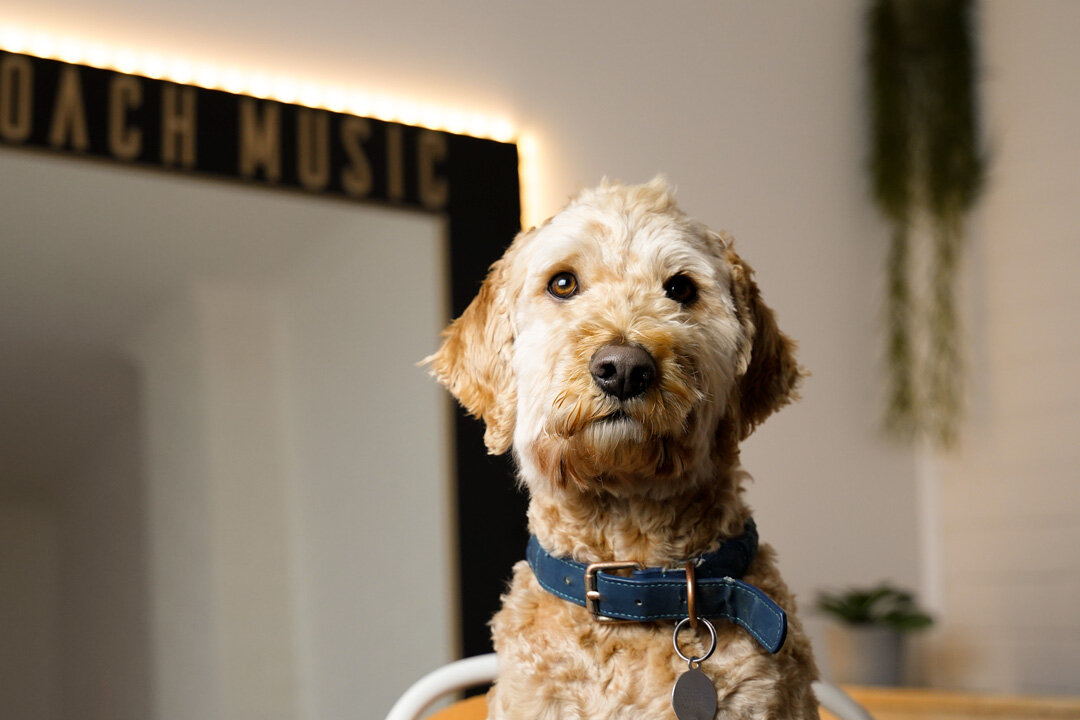 Coach Music Academy - Singing and Music Lessons