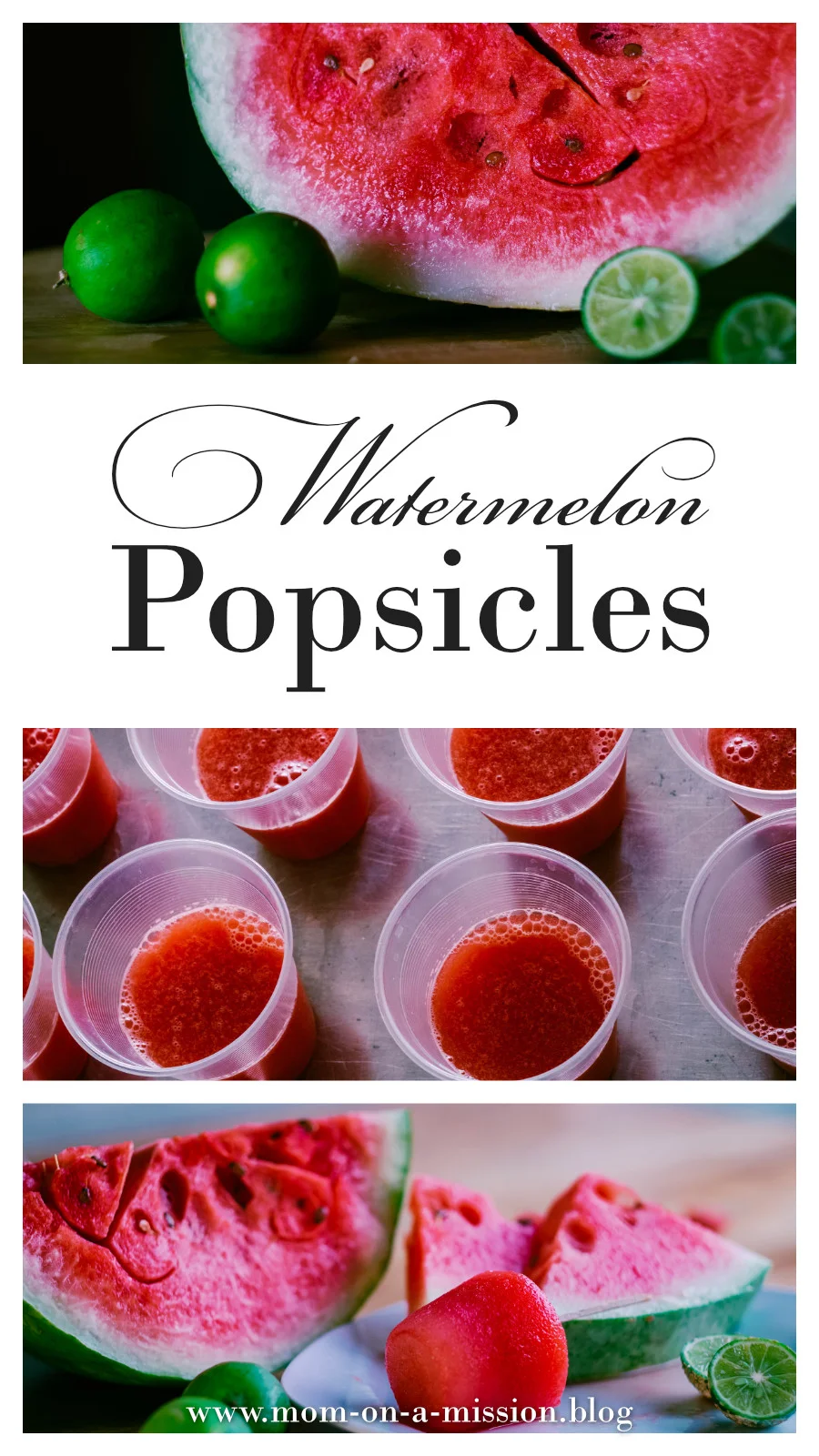Watermelon Popsicles — Mom on a Mission