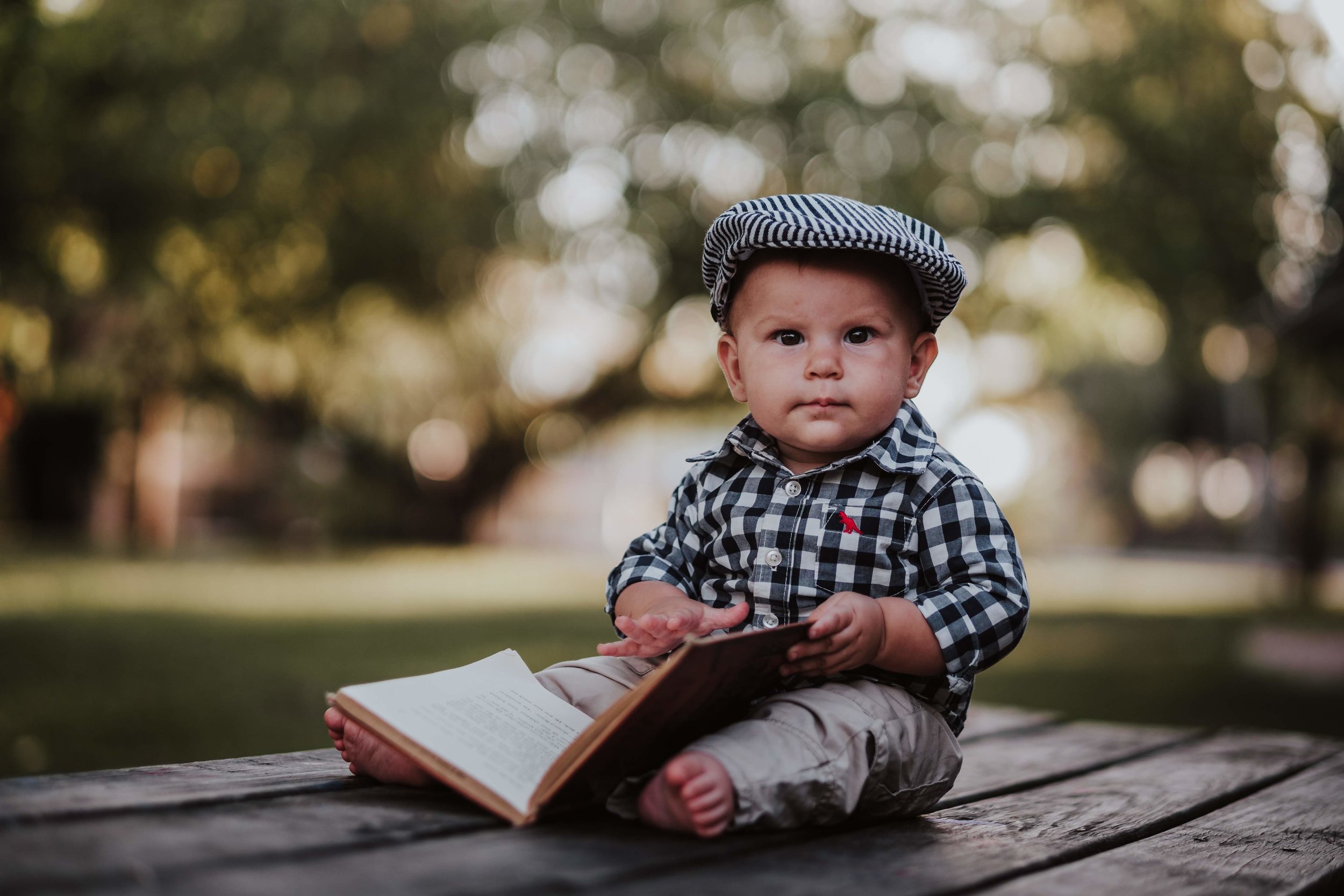 Picture Books We Read Over and Over Again {Preschool and Beyond} — Mom ...