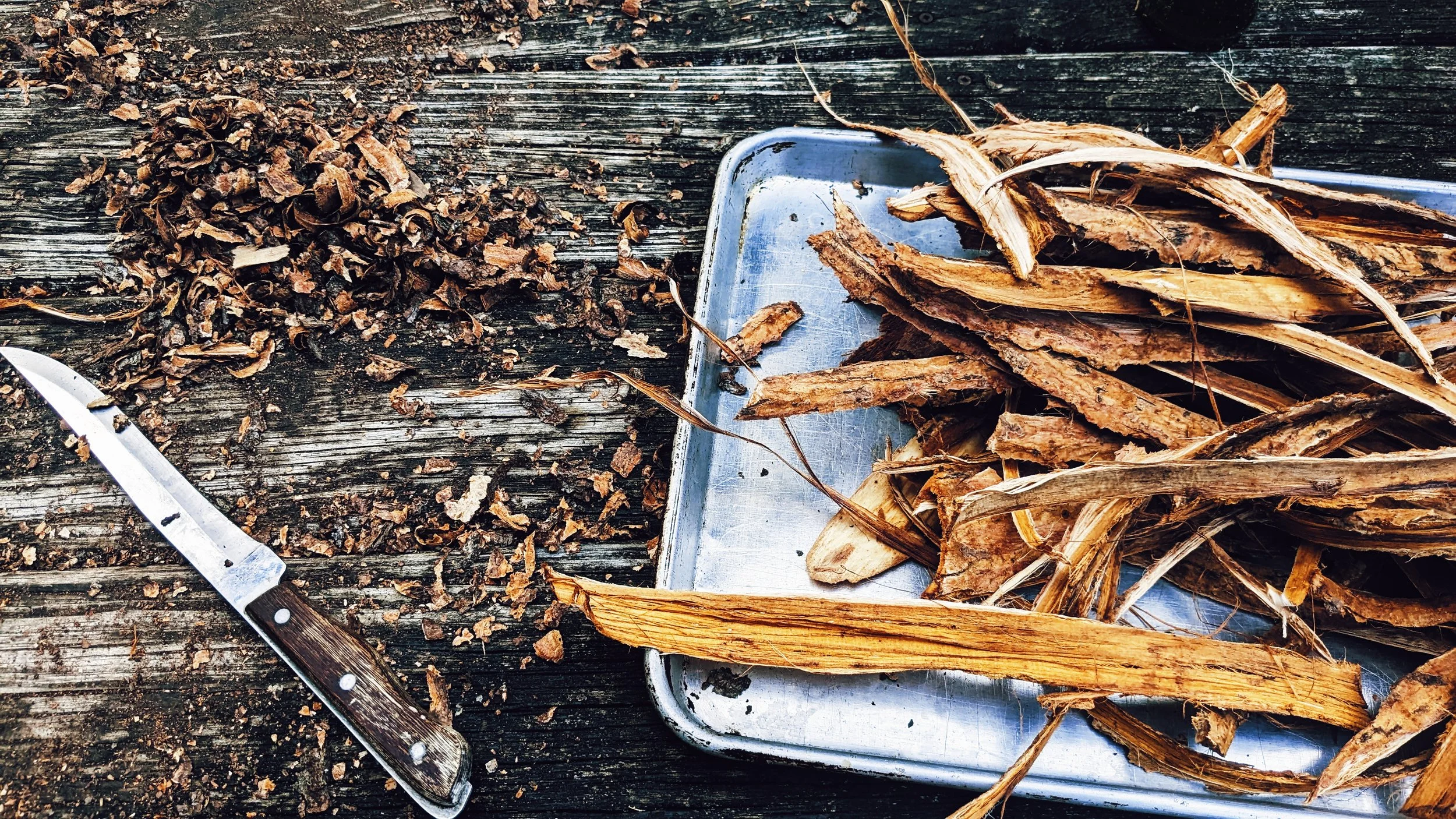 Natural Ways to Boost Iron Levels — Mom on a Mission