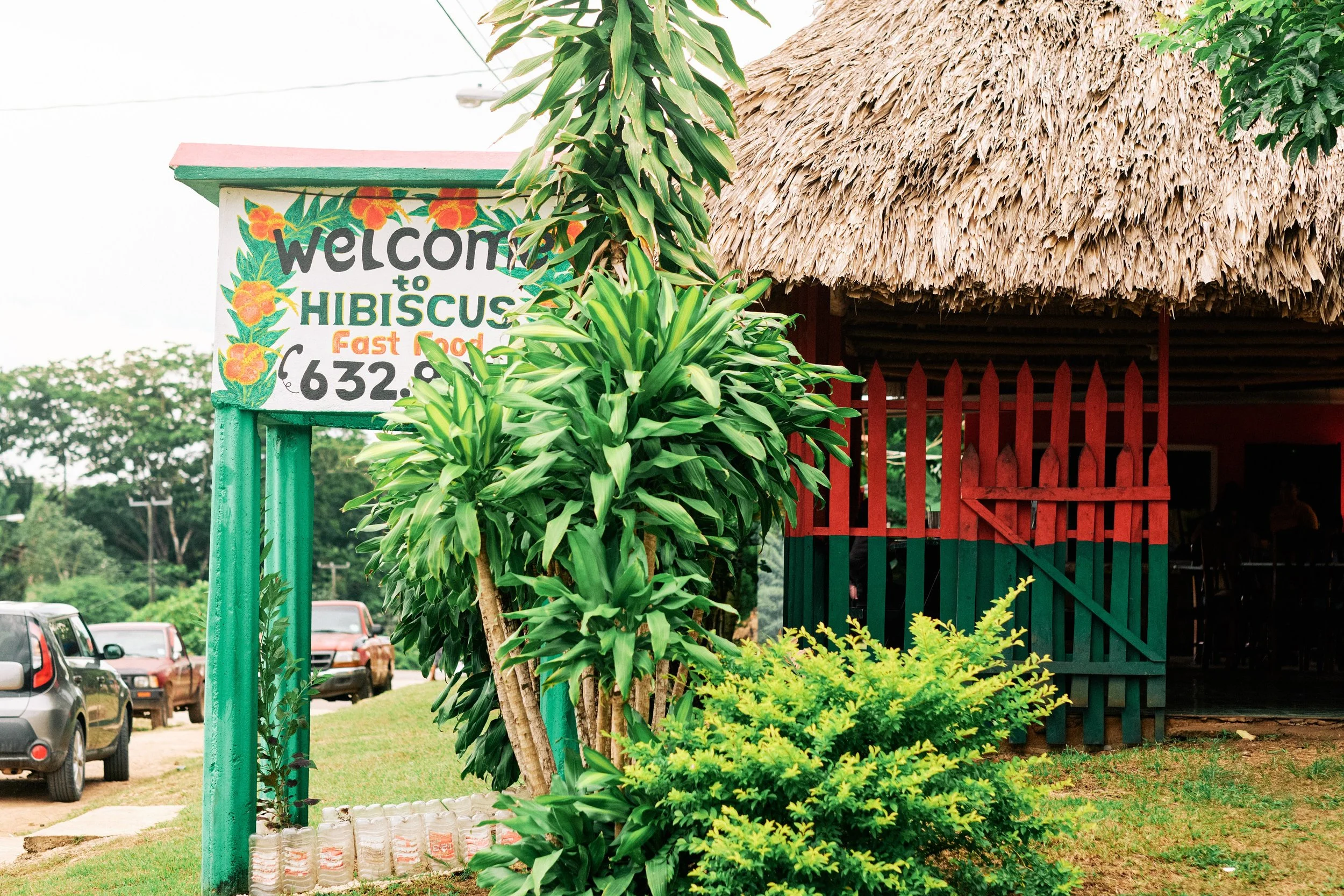 Belizean Recado Chicken — Mom on a Mission