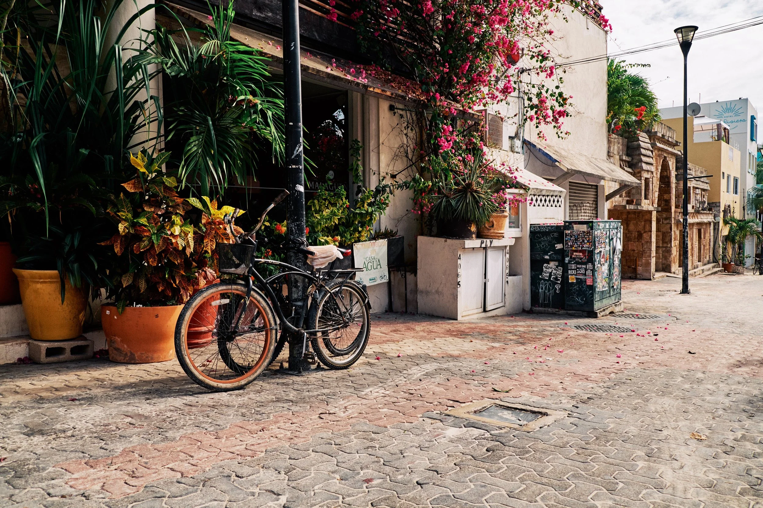 This Global Life - 7 Anabaptist women show us daily life around the ...