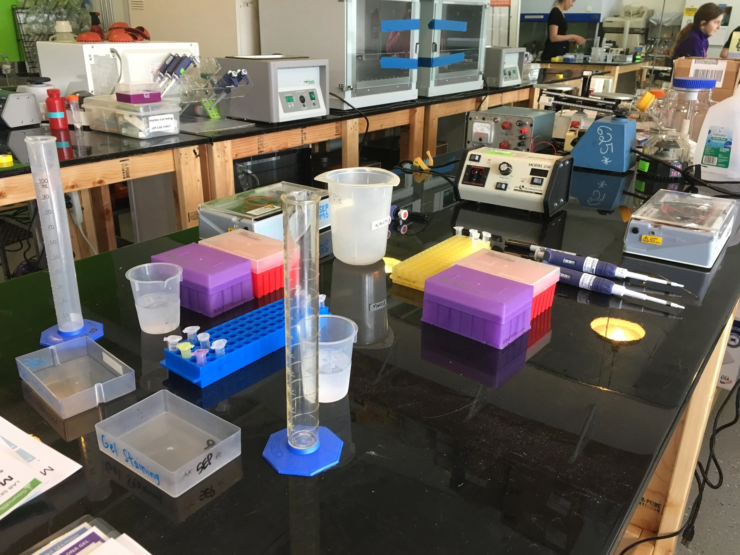 MOLECULAR SCISSORS (APR 1, 2017) — SoundBio Lab