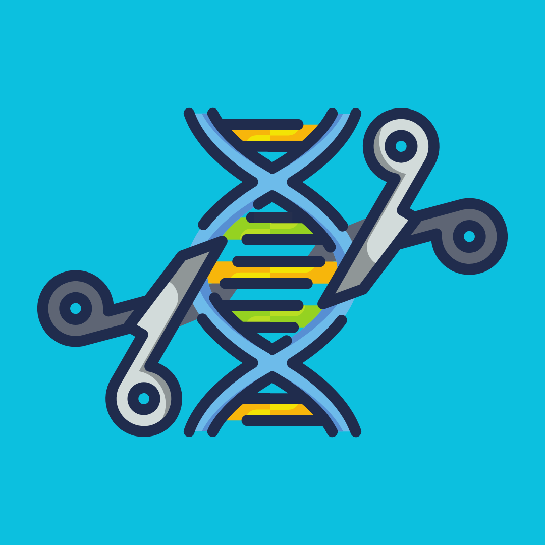 Restriction Enzyme Icon