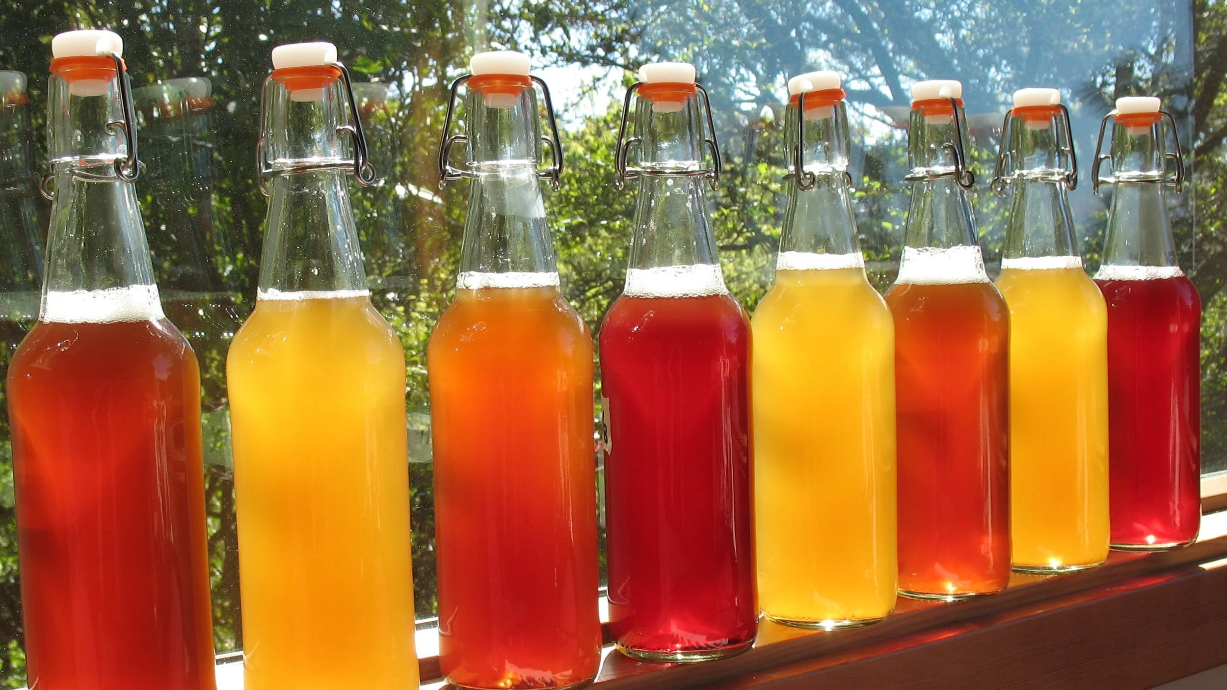 Community projects — SoundBio Lab