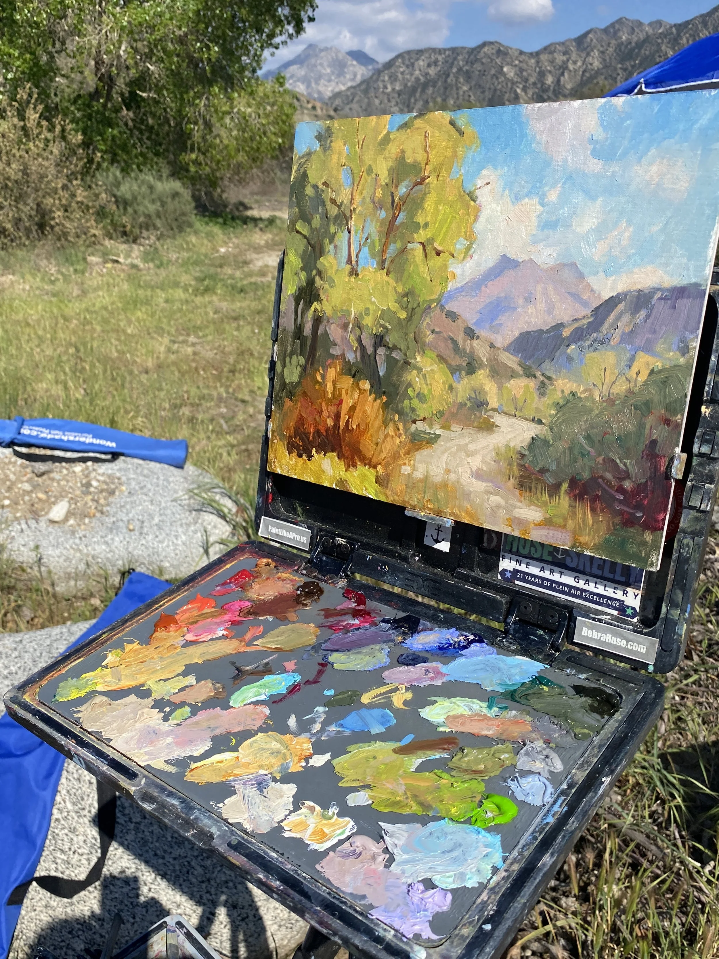 Live Workshops with Debra — Debra Huse