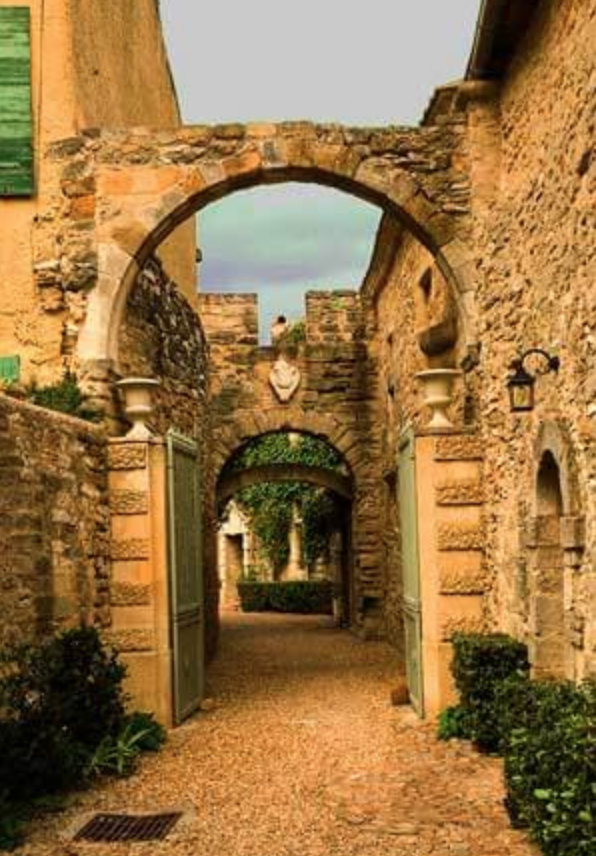 Live Workshops with Debra — Debra Huse