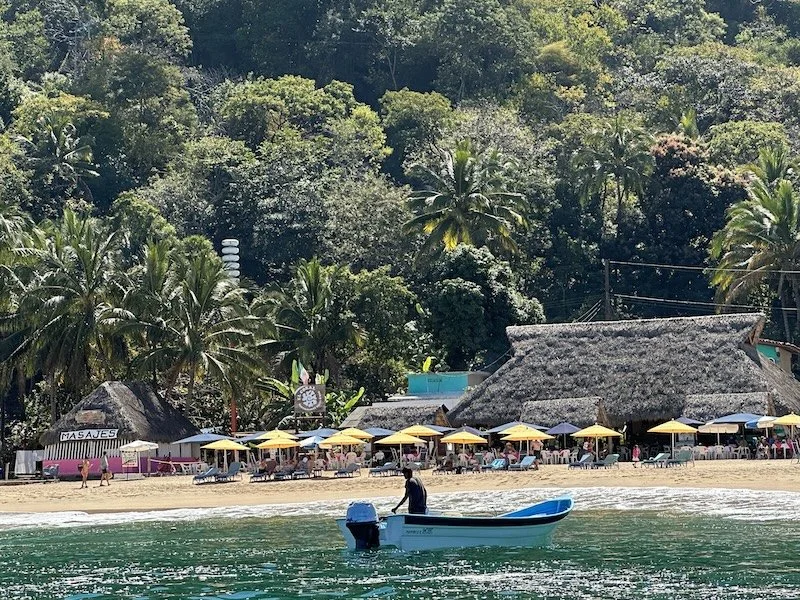 Live Workshops with Debra — Debra Huse