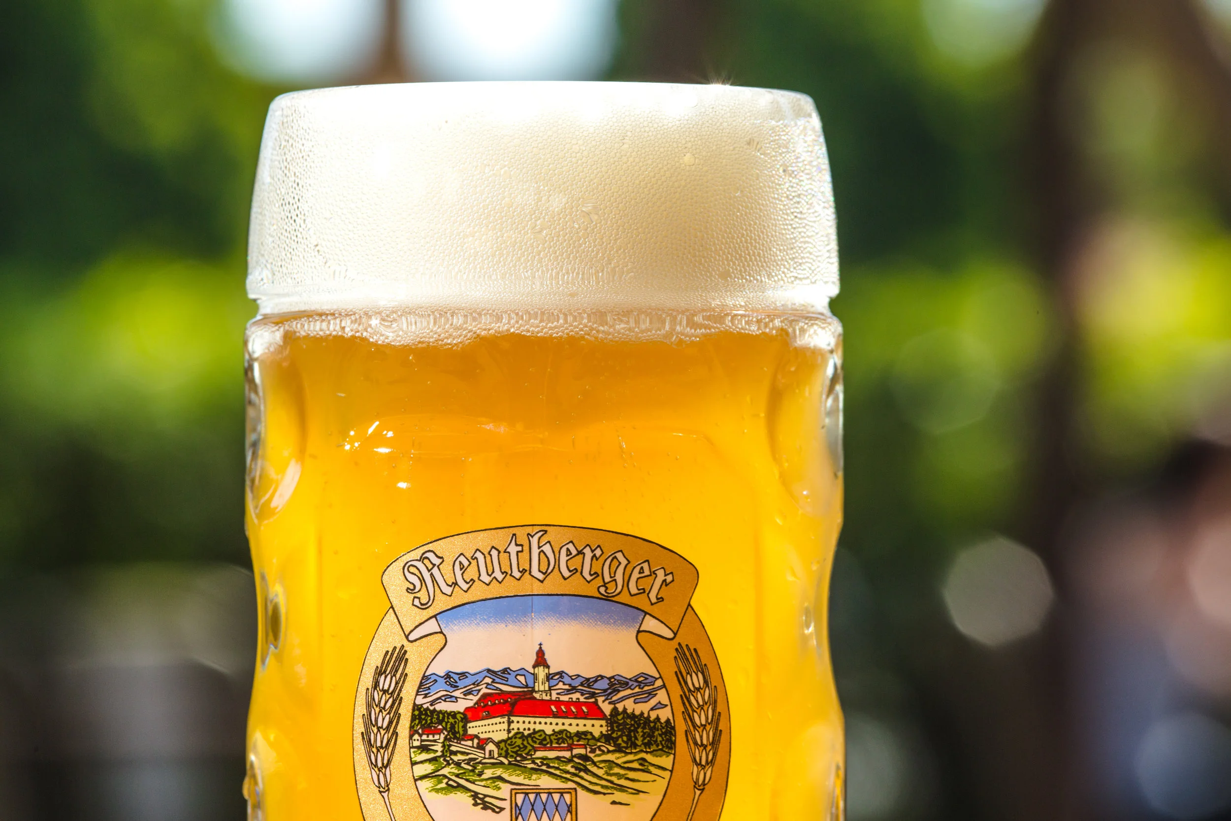 Stadtgarten — eddi