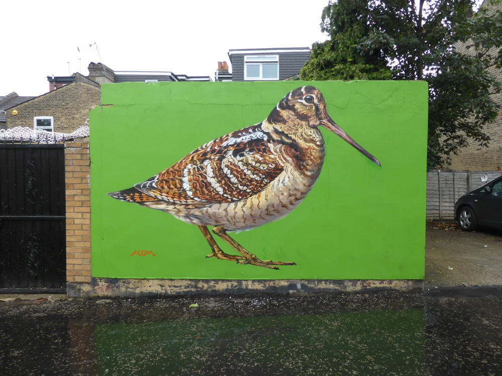 ATM Street Artist — Wood Street Walls