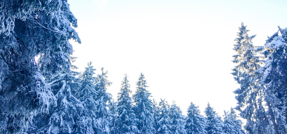 Winter Solstice: The Perfect Time for Reflection and Release - InDependent