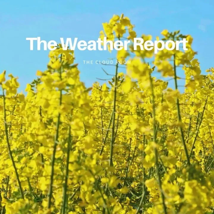 The Cloud Room: Seattle's Coworking Space in Capitol Hill