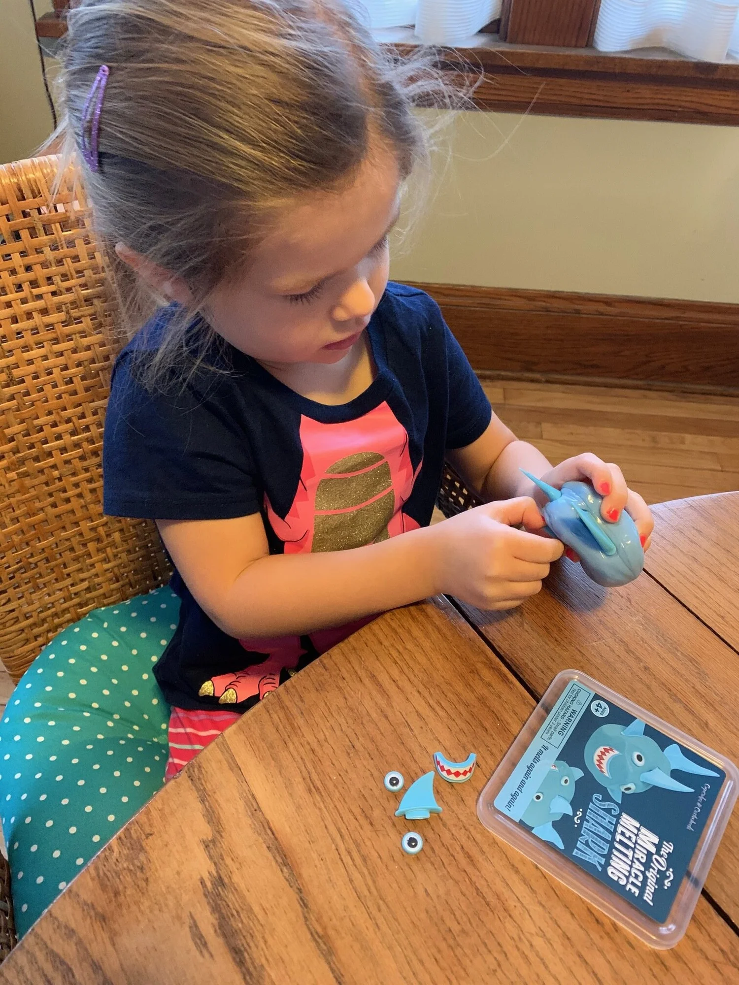 The Original Miracle Melting Snowman Entertainment — GrandyCamp