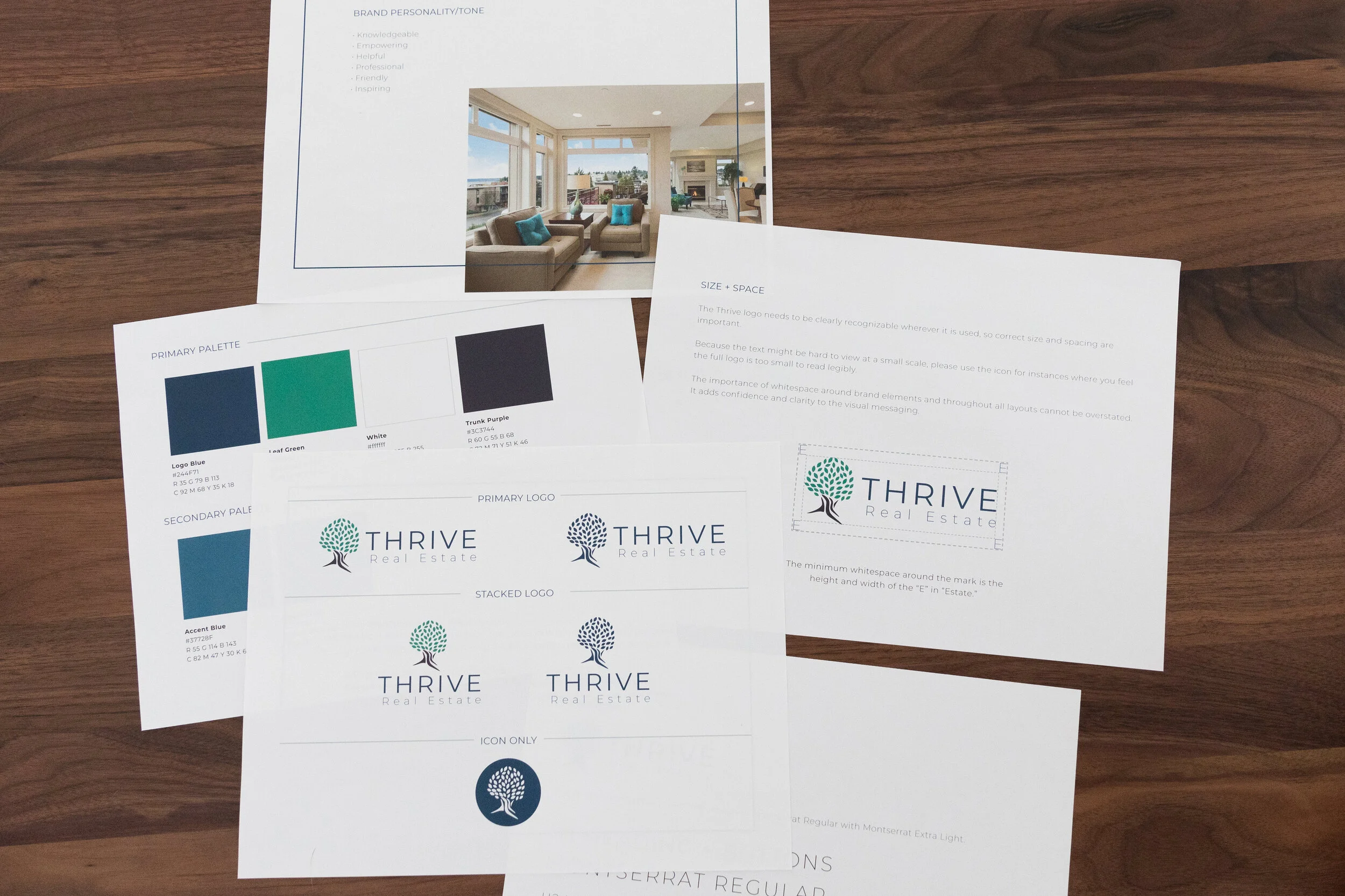 MINDY COOK | VISUAL STORYTELLER