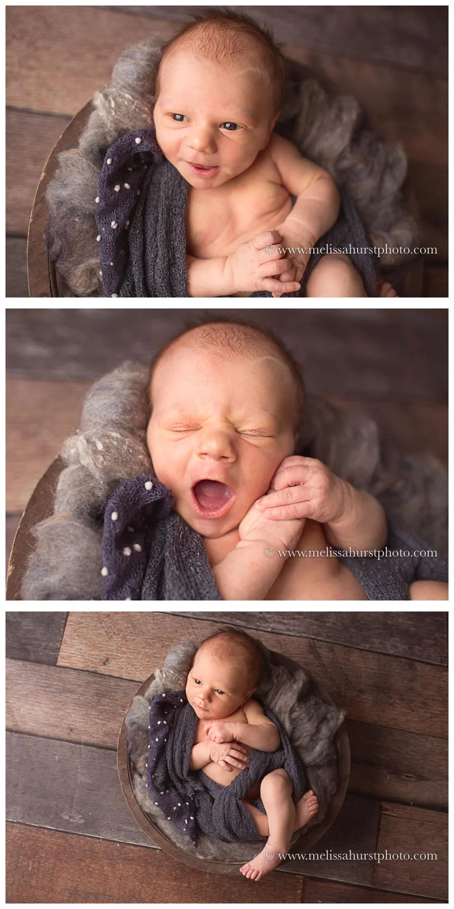 Blog — Melissa Hurst Photography