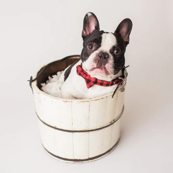 Blog — Melissa Hurst Photography