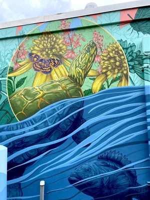 Full Circle — Nick Stull