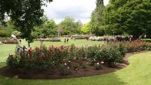 Latest news — Rob Somerfield Roses