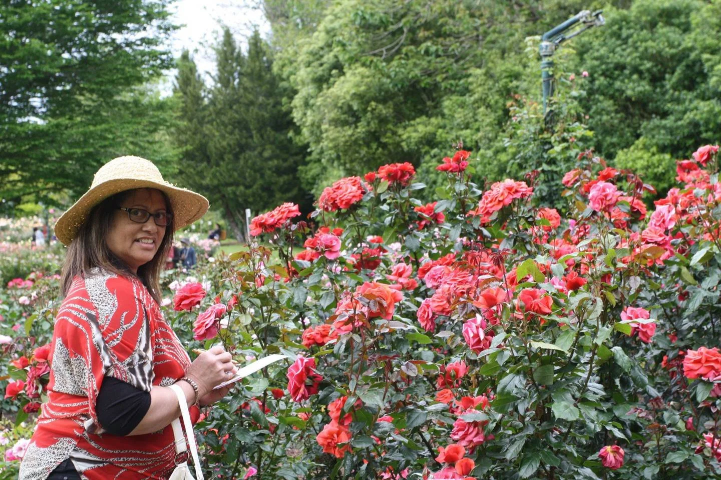 Latest news — Rob Somerfield Roses