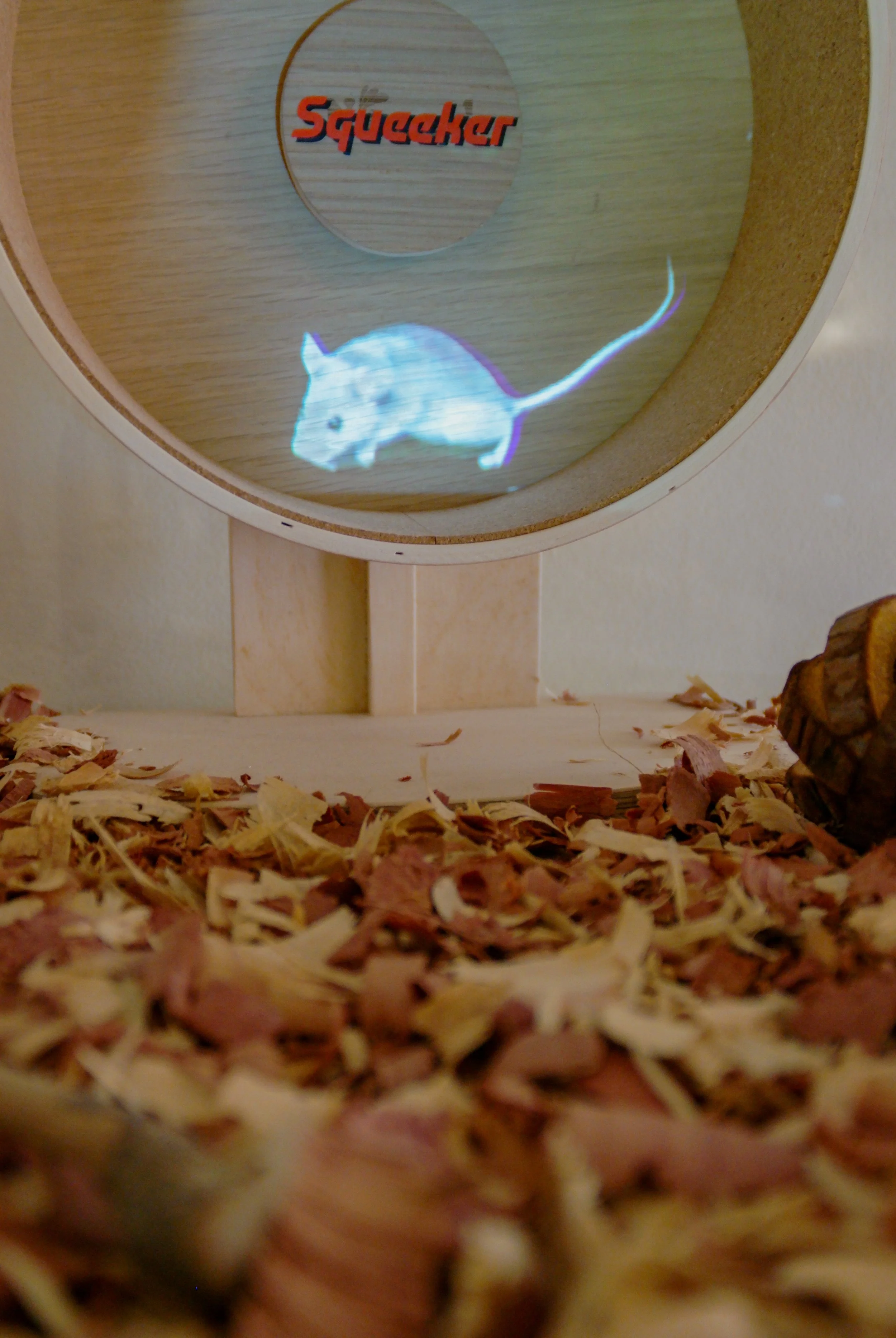 Mouse Coach — Jiabao Li 李佳宝