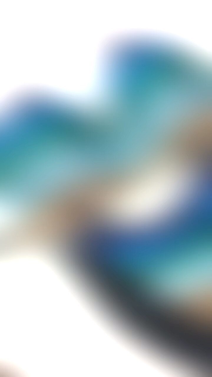 Gingerwear Luxury Competition Suits