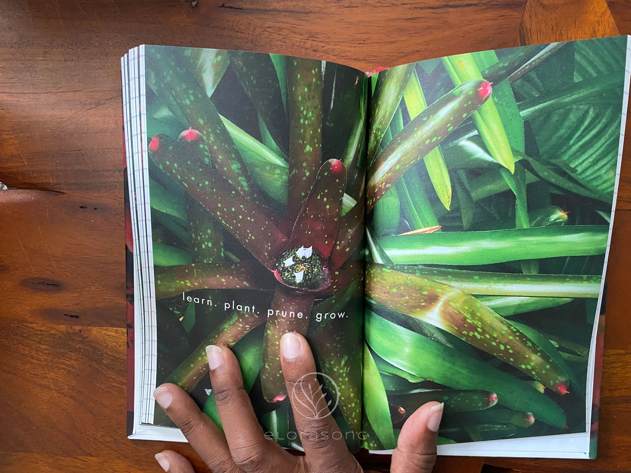 journal : sober solace — elorasong