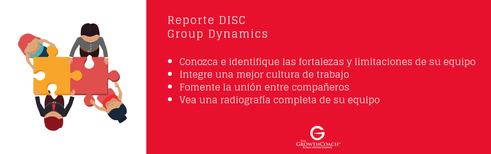 Reporte DISC Group Dynamics — The Growth Coach Puerto Rico