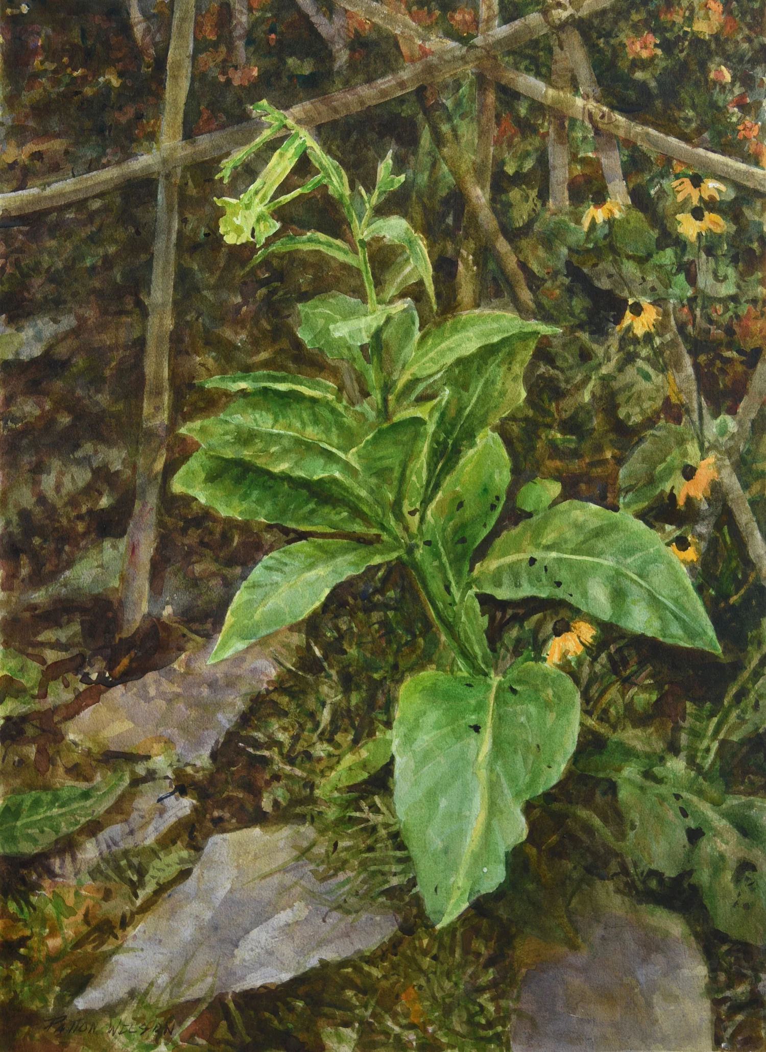 Available Work — Patton Wilson