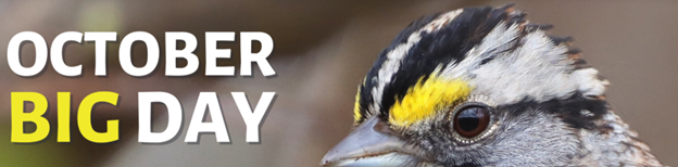 October Big (Bird Count) Day at Atherton Island Natural Area — Ouabache ...
