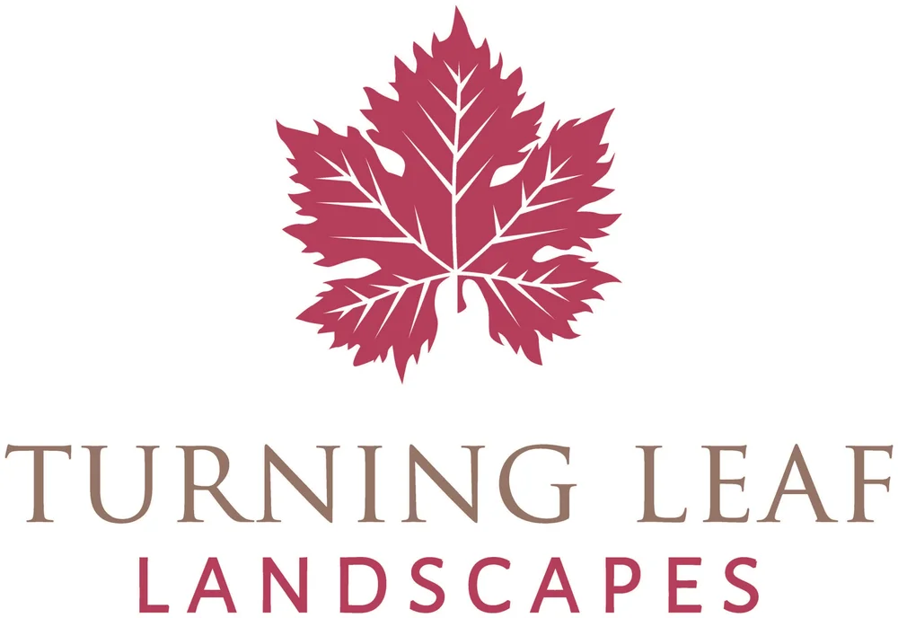 Turning Leaf Landscapes - Residential landscape & garden design in ...