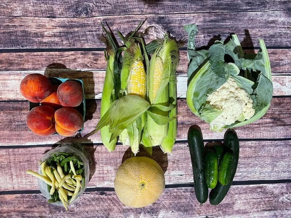 CSA, Summer — FULL CIRCLE FARM