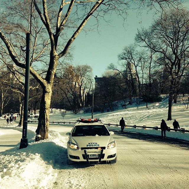 Central Park Medical Unit