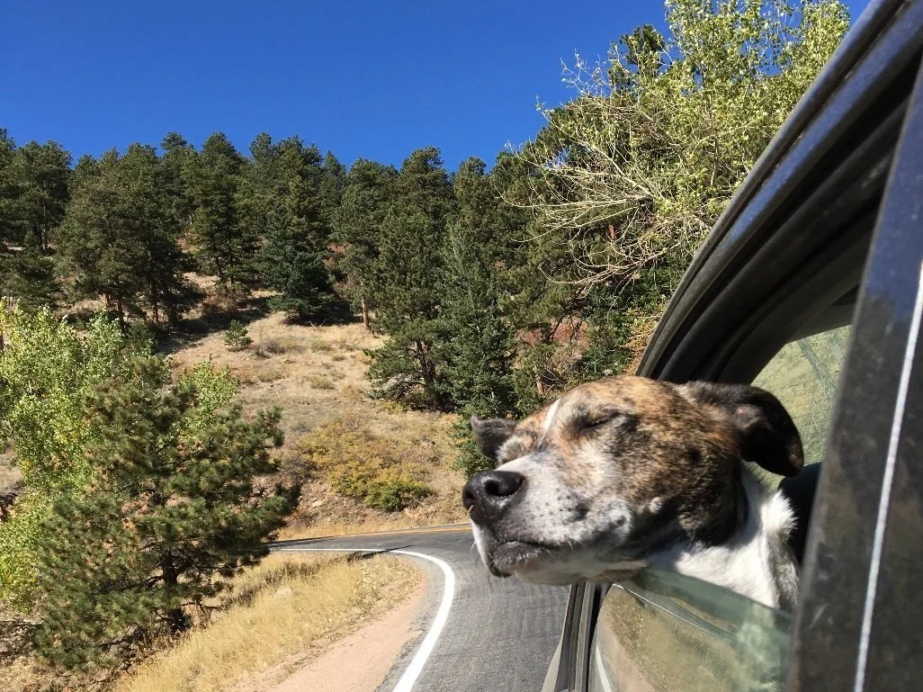 Who is she? — LINDSEY GAFF