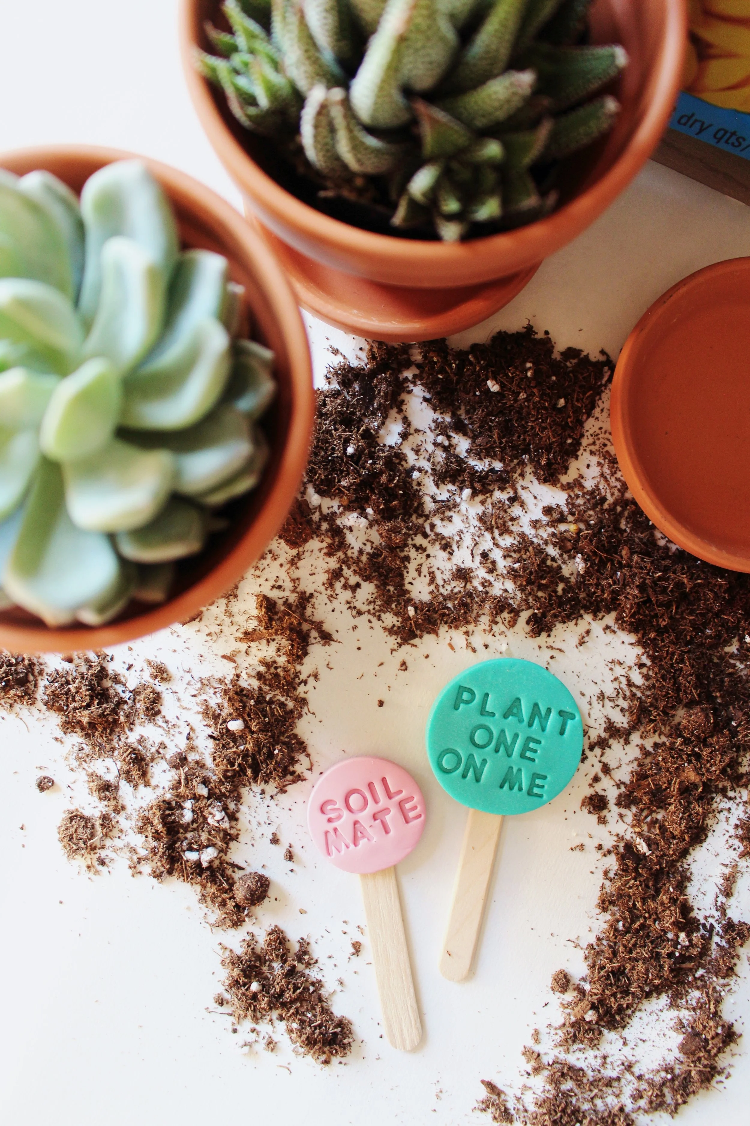 DIY Valentine’s Day Clay Plant Signs — Entertain the Idea