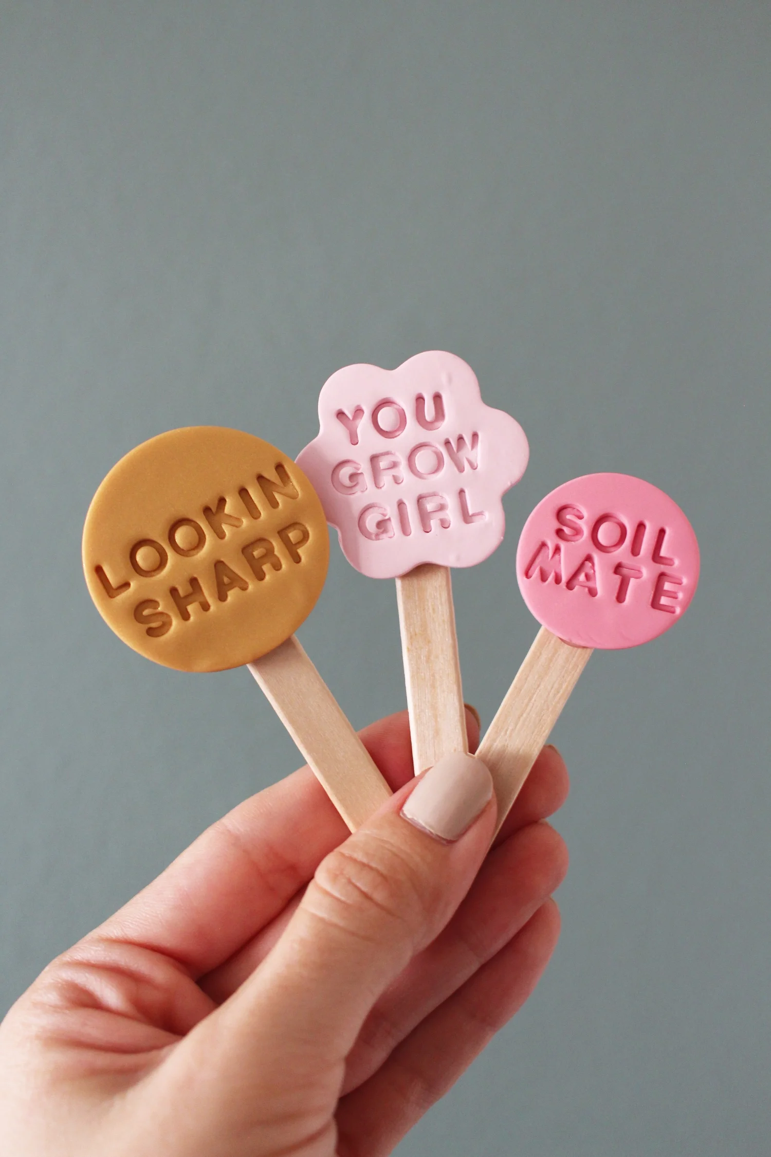 DIY Valentine’s Day Clay Plant Signs — Entertain the Idea