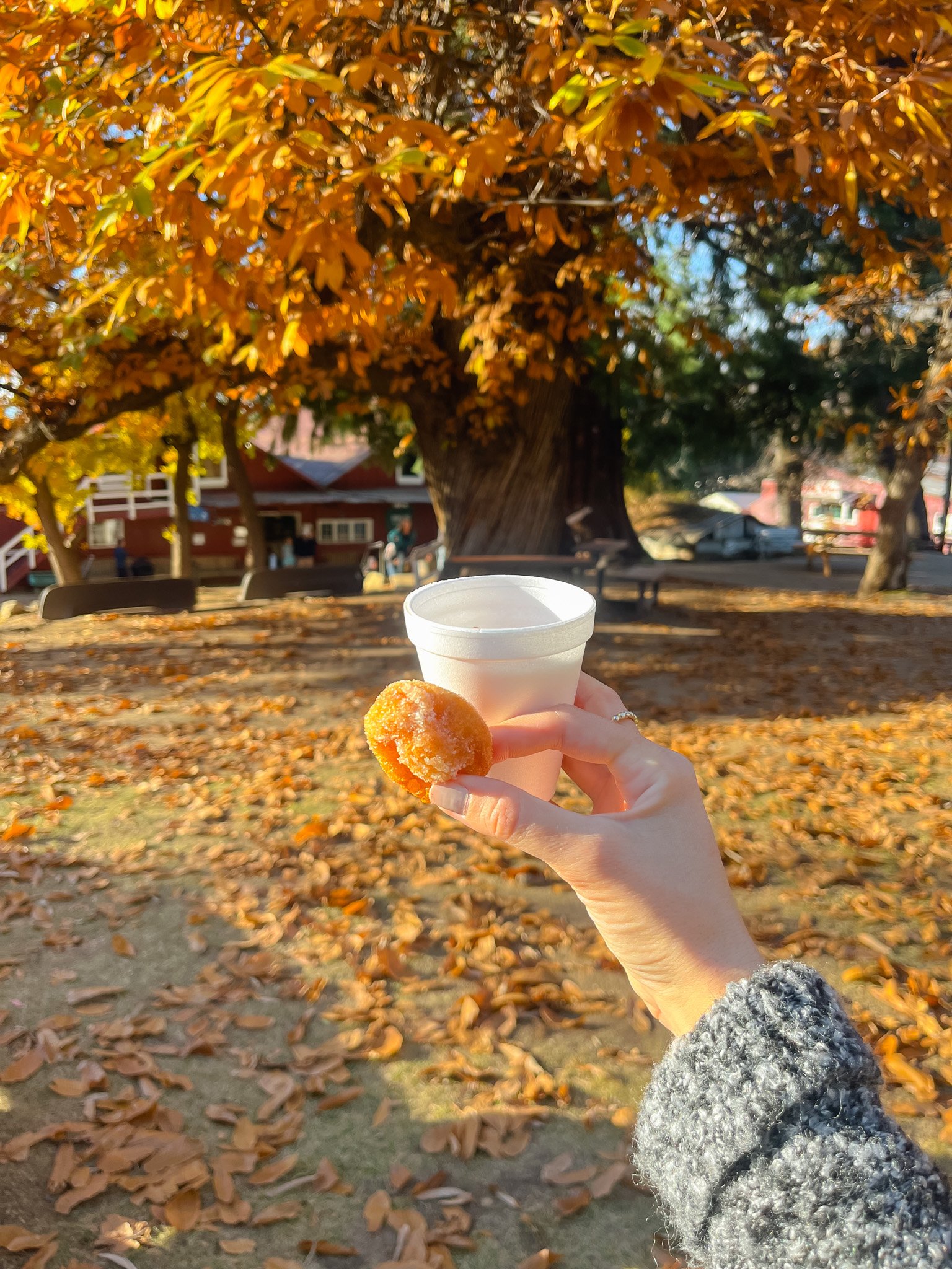 A Day Trip to Oak Glen (from Los Angeles) | A Detailed Itinerary ...