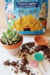 DIY Valentine’s Day Clay Plant Signs — Entertain the Idea