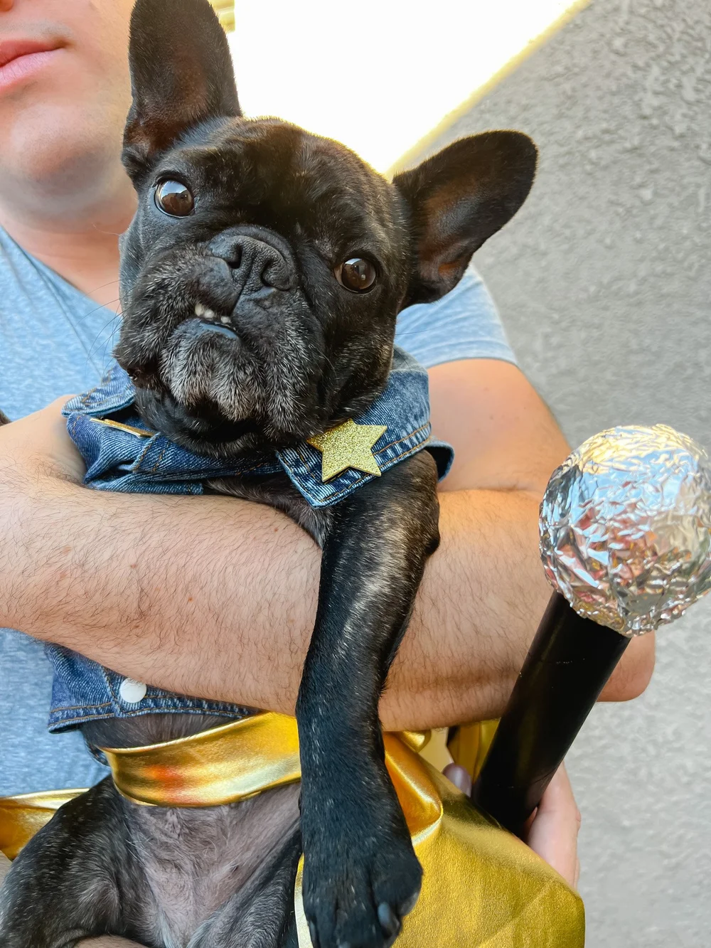 Donna & The Dynamos Mamma Mia Costume (Halloween 2022) — Entertain the Idea