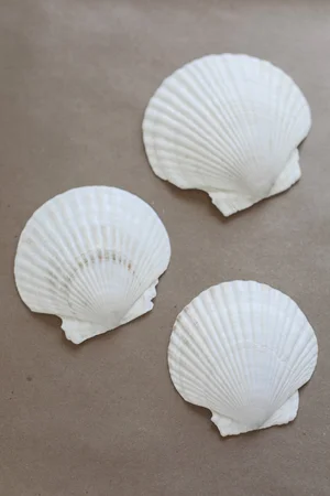Painted Shell Trinket Dish — Entertain the Idea