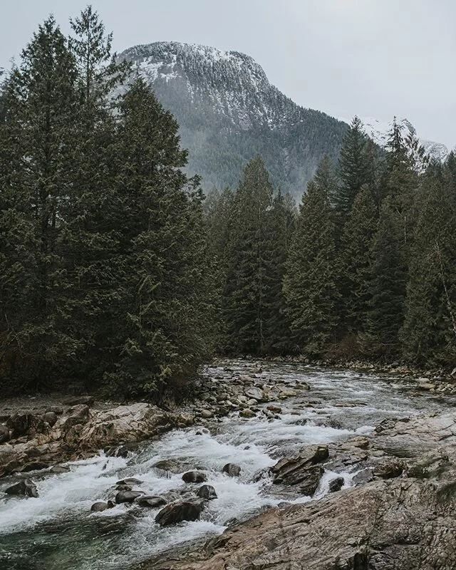 Red Button Photography