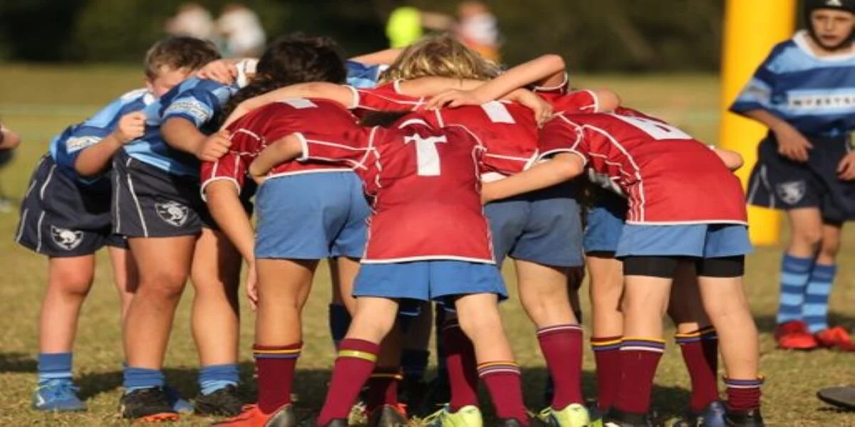 Harbord Harlequins Harbord Harlequins