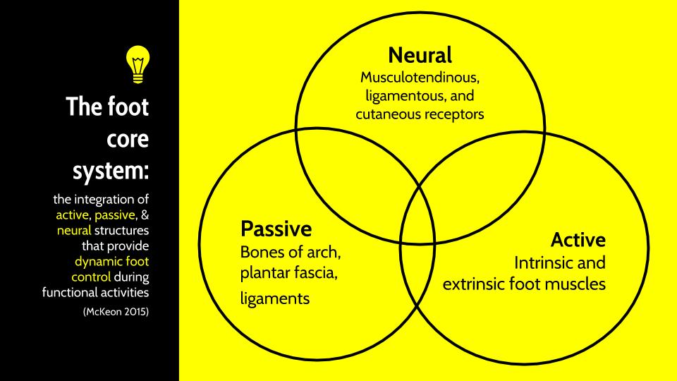 Foot Intrinsics — James McAfee, PT, DPT