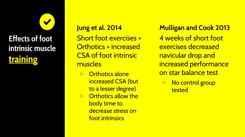 Foot Intrinsics — James McAfee, PT, DPT