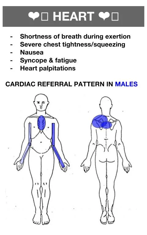 Visceral Pain Referral — James McAfee, PT, DPT