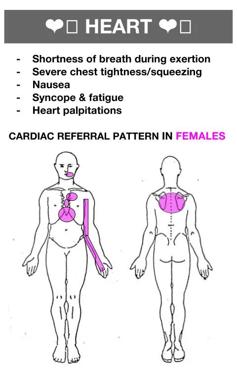Organ Pain Referral Patterns