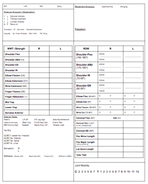 📋 Evaluation Templates — James McAfee, PT, DPT