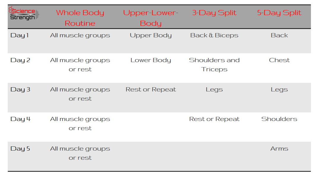 How To Choose The Best Training Program For Your Training Stage ...